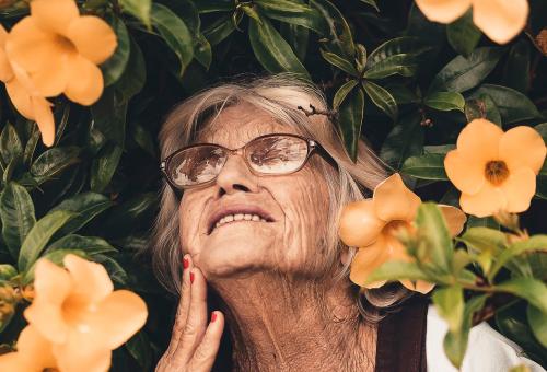 Purchase Rhonda Allison - Why and How Does the Skin Age? – RA.skin